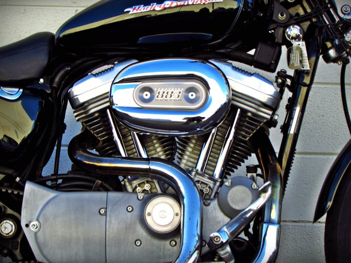 2004 Harley-Davidson XL883C Sportster 883 For Sale • J&M Motorsports